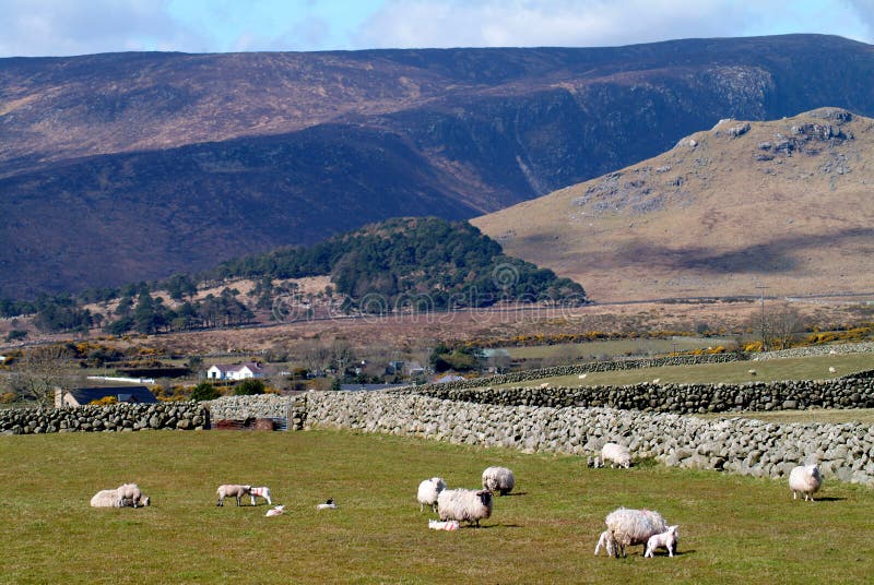 Mournes pintoresco imagen de archivo. Imagen de campos - 4771503