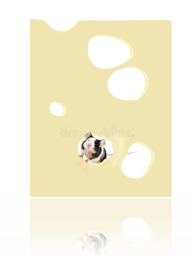 Sweet mouse stock vector. Illustration of fluffy, furry - 25610732
