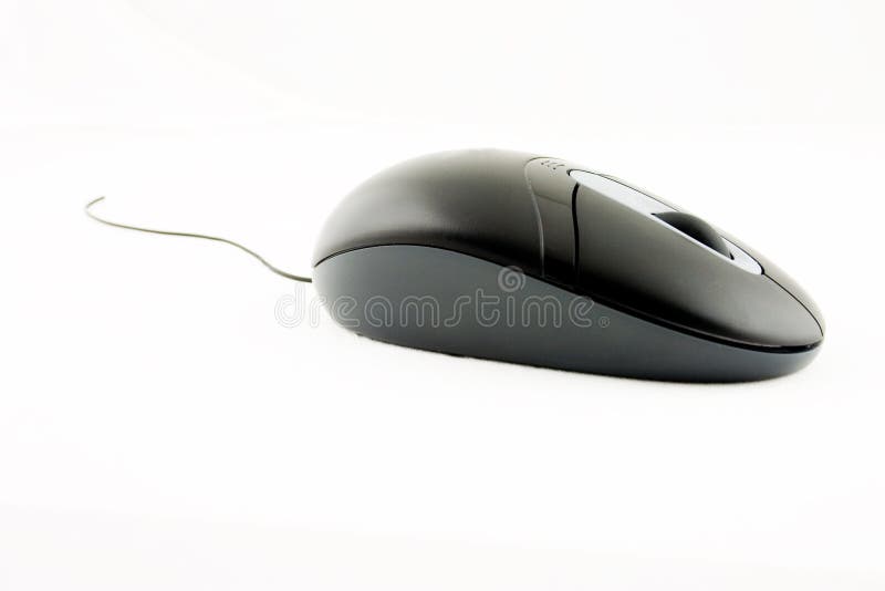 Mouse Picture. Image: 4629952