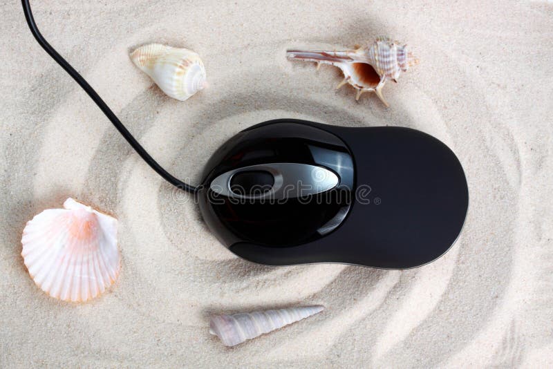Mouse on beach sand stock image. Image of shell, holidays - 12527103