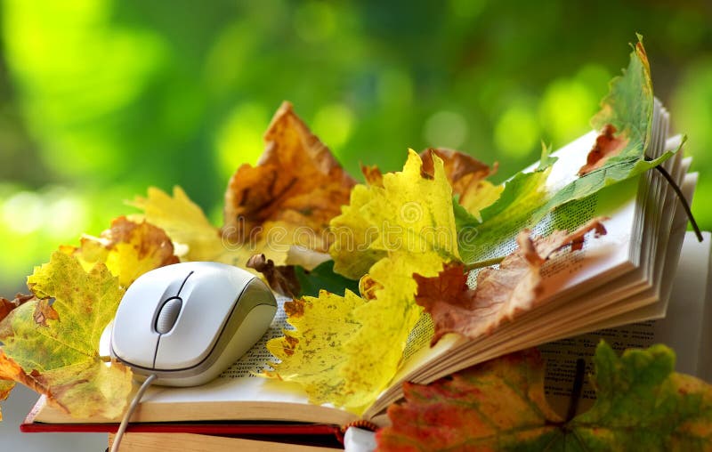 Mouse on book. stock photo. Image of objects, reading - 15290278