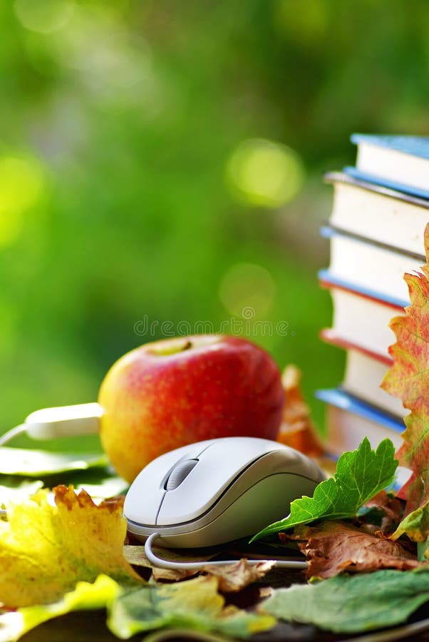 Mouse on book. stock image. Image of electronic, ideas - 15290365