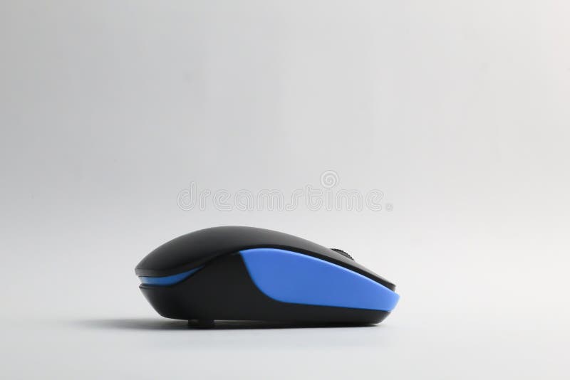 A Mouse that Can Be Used for Office Work Has a Very Unique Body Stock ...
