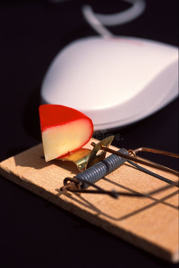 Mouse and cheese stock photo. Image of cheese, bait, computer - 12720260