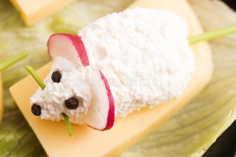 Mouse with cheese stock photo. Image of fresh, gourmet - 77691566