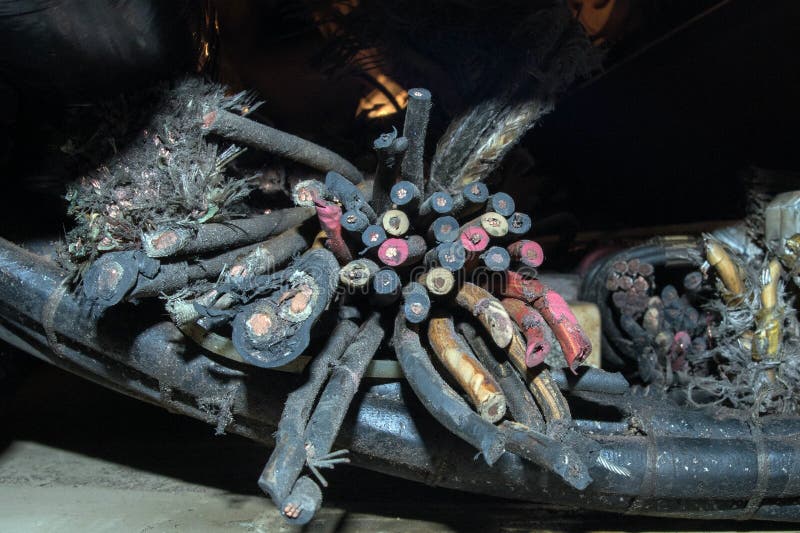 Mouse Chewed Wires Cable Lines Stock Photo - Image of power, white ...