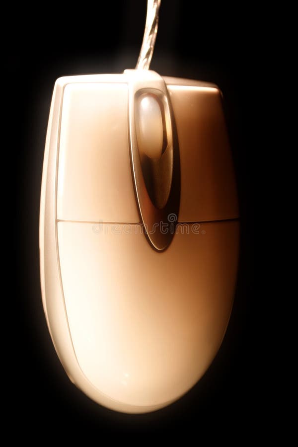 Mouse close-up III stock photo. Image of details, electricity - 47082