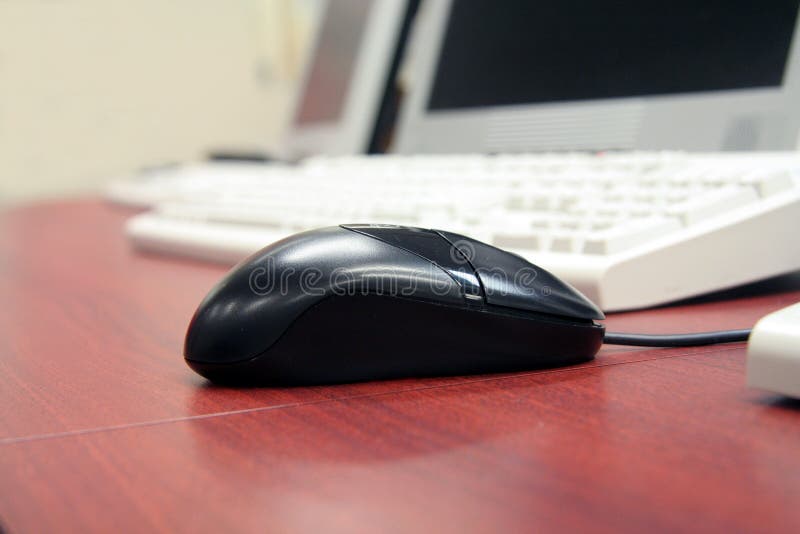 Computer Training Classroom: Mouse Blue Stock Photo - Image of teach ...