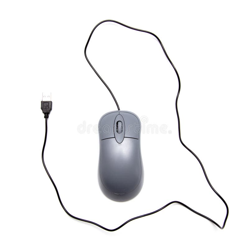 The Mouse is Isolated on a White Background. Stock Photo - Image of ...