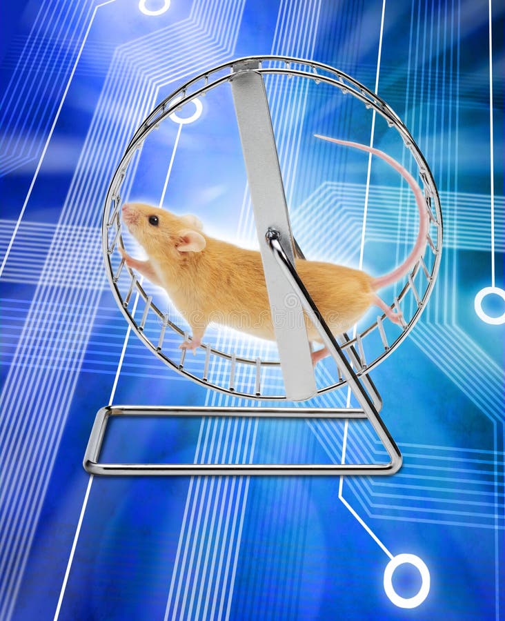 Mouse Hamster Exercise Wheel Stock Photo - Image of round, running ...