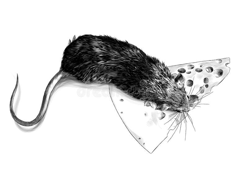 View Crawling Stock Illustrations – 681 View Crawling Stock ...