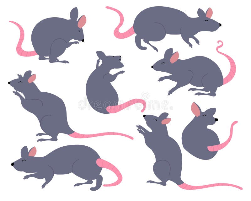 Drowned Rat Clipart Rodents