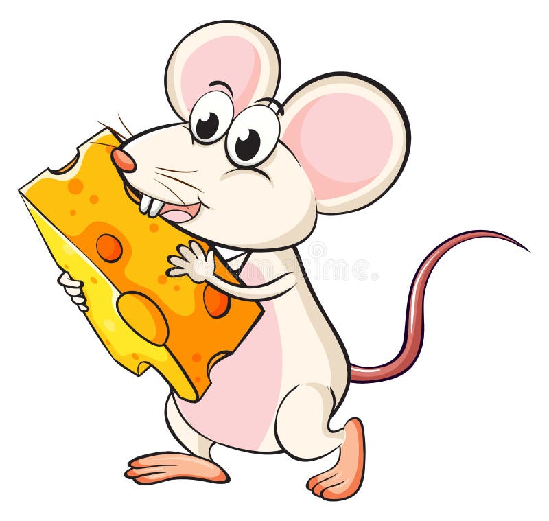 A mouse eating cheese stock vector. Illustration of drawing - 33098905