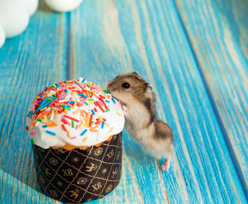 Mouse it eats cheese stock image. Image of alone, business - 309607