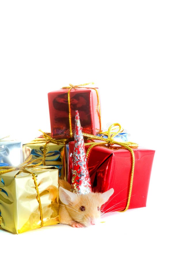 Mouse a box. stock image. Image of animal, mouse, domestic - 3316923