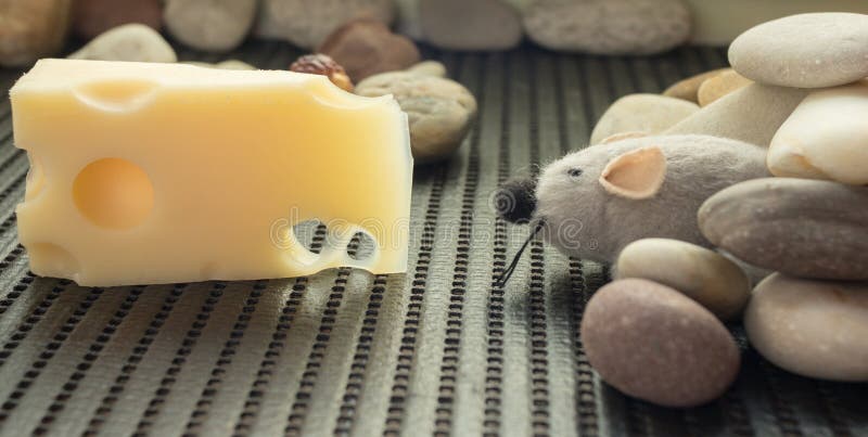 Mouse got cheese stock image. Image of food, look, cuddly - 96984707