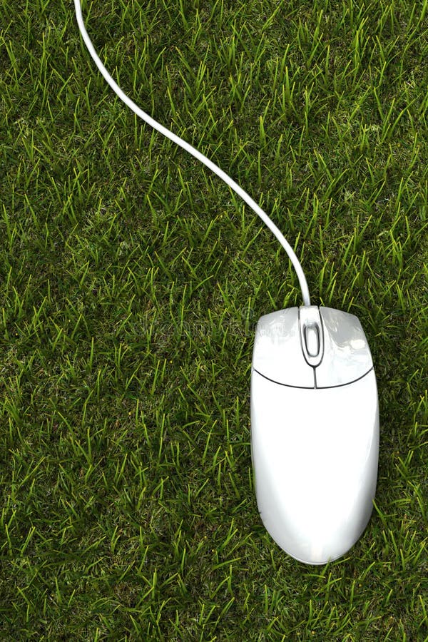 Mouse on the grass stock photo. Image of concept, technology - 13986732