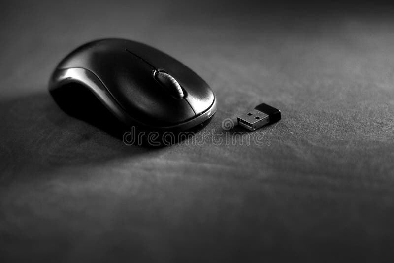 The Mouse is a Hardware Device on the Computer, Which is Useful for ...