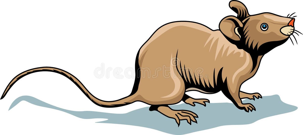 Illustrated Mouse Stock Illustrations 1 147 Illustrated Mouse Stock