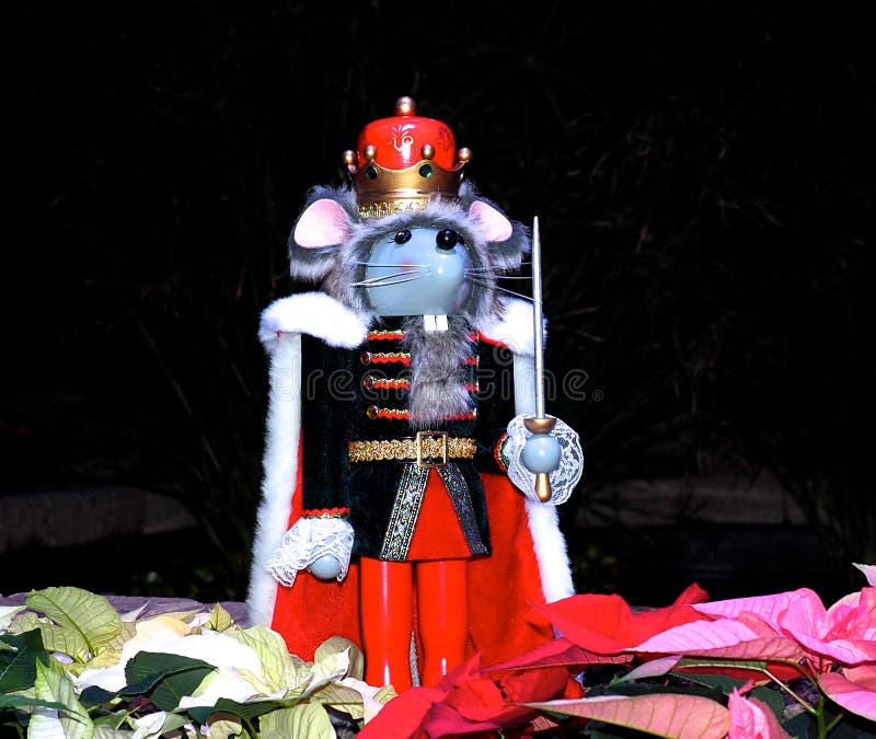 Mouse King Dressed in Costume Stock Image - Image of sword, robe: 85285447