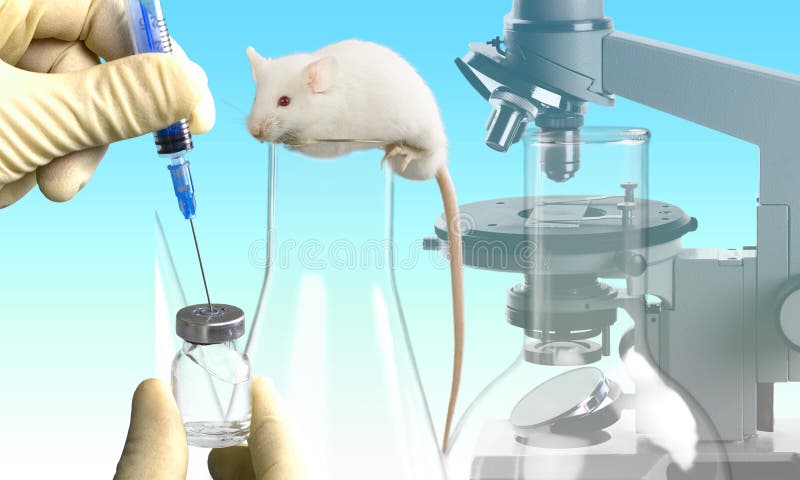 Laboratory Mouse on Top of Test Tubes Stock Image - Image of test ...