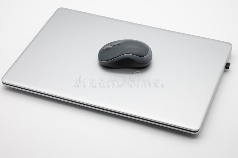Mouse lying on a laptop stock image. Image of electronics - 202206765