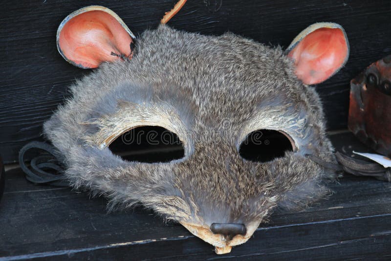 Mouse Mask stock photo. Image of mouse, real, includes - 42658536