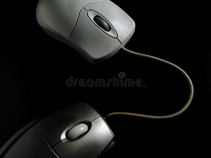 Mouse on Mouse Cyber Sex stock photo. Image of objects, electonics - 70342