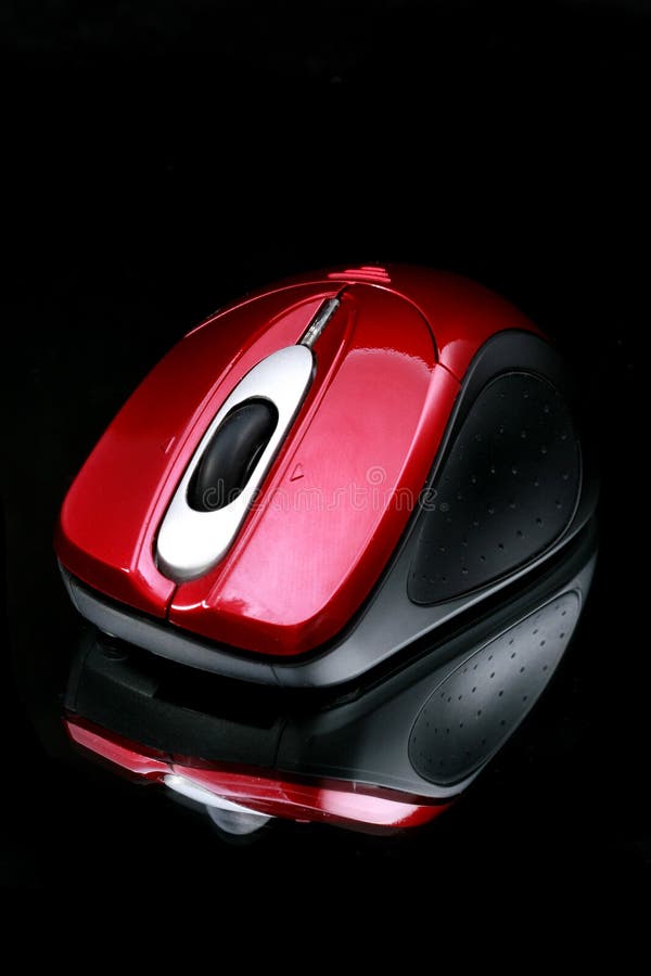 Mouse in the night stock photo. Image of dark, mouse - 13462658