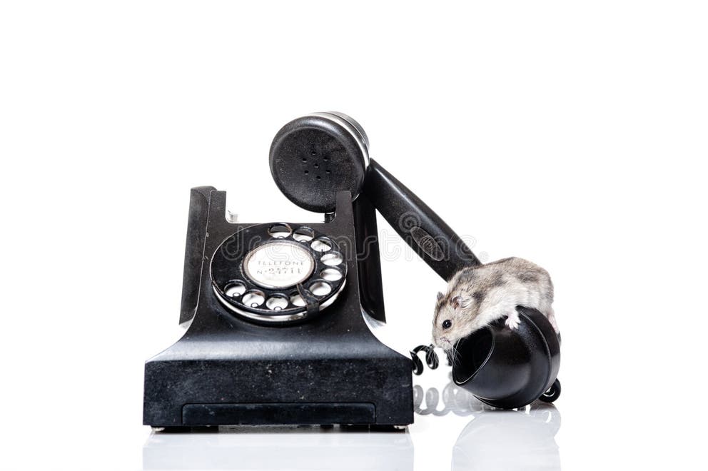Mouse phoning stock image. Image of calling, call, dialing - 23595549