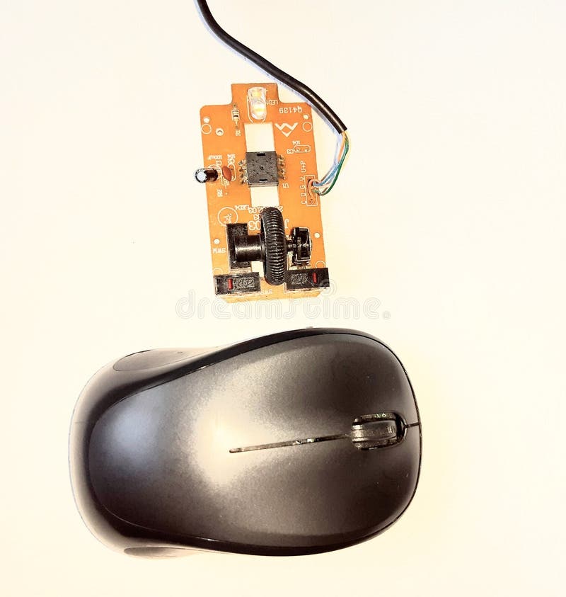 Mouse x-ray circuits stock image. Image of computer - 170658733