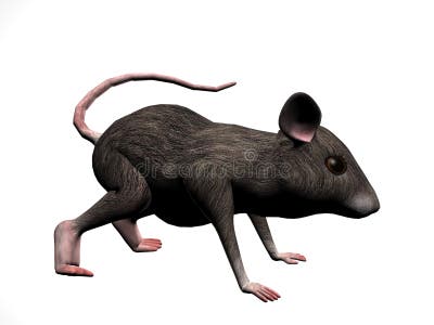 Mouse Right stock illustration. Illustration of cartoon - 285635