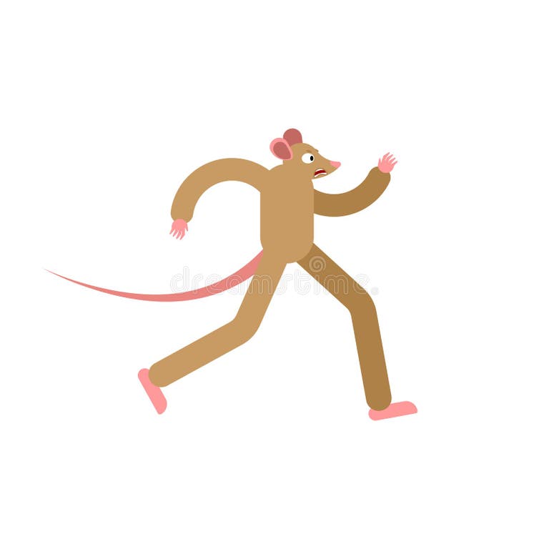 Mouse is running. Rat run stock vector. Illustration of grey - 259945256