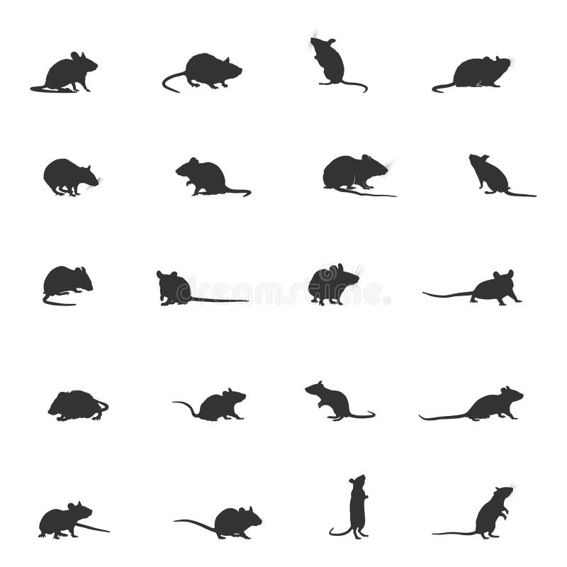 Mouse Silhouette, Mouse Rat Mice Silhouette, Mouse SVG, Mouse Vector ...