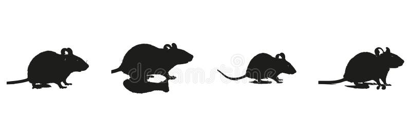 Mouse Silhouettes in Solid Icon Set. Rodent Identification and Wildlife ...