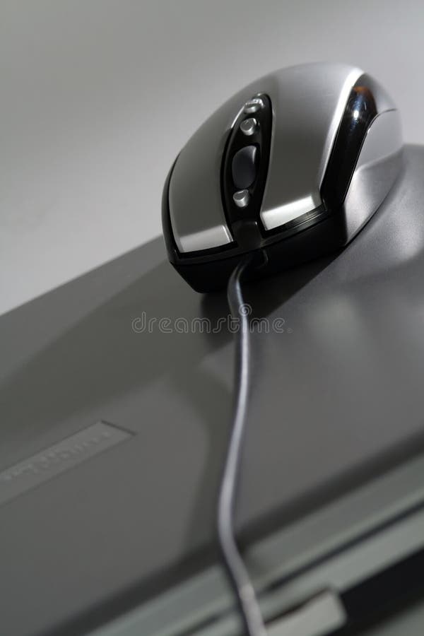 Mouse on a silver laptop stock photo. Image of mouse, information - 989400