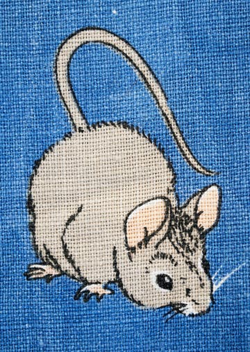 Mouse Sniffing Stock Illustrations – 151 Mouse Sniffing Stock ...