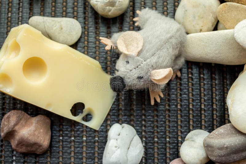Mouse sniffing cheese stock image. Image of funny, childhood - 96984649