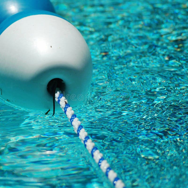 Mouse Swimming Stock Photos - Download 171 Royalty Free Photos