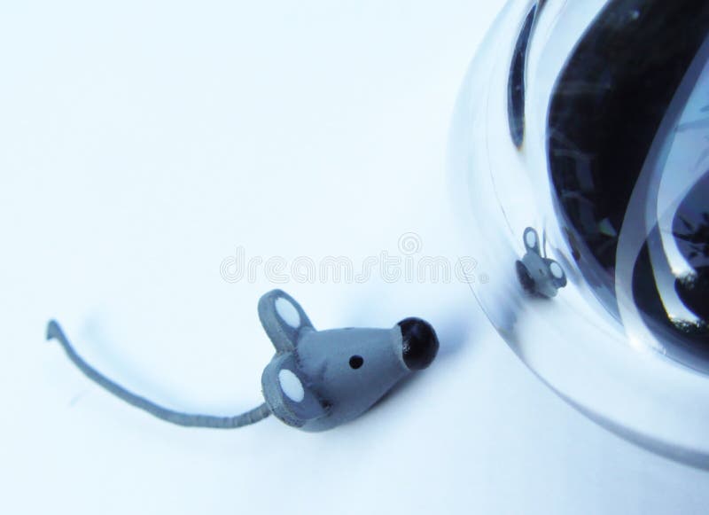 Mouse in a Mirror stock image. Image of rodent, tiny - 24353307