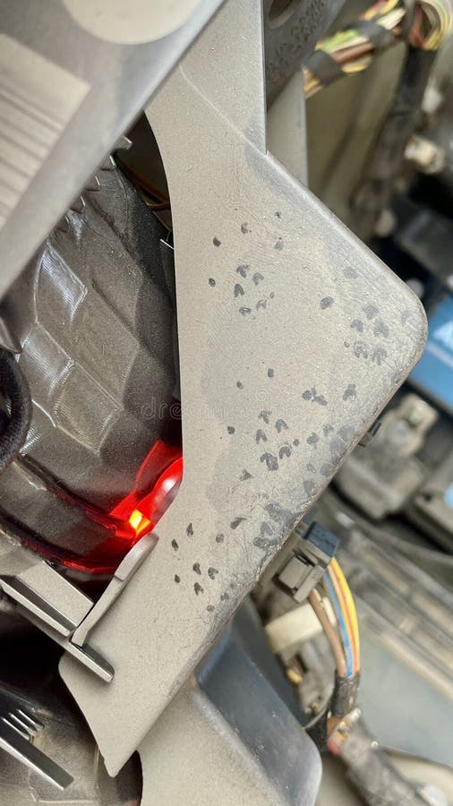 Mouse Tracks in the Car stock image. Image of unwanted - 378298667