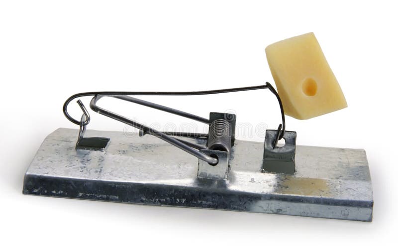 Mouse Trap stock image. Image of isolated, white, catch - 511667