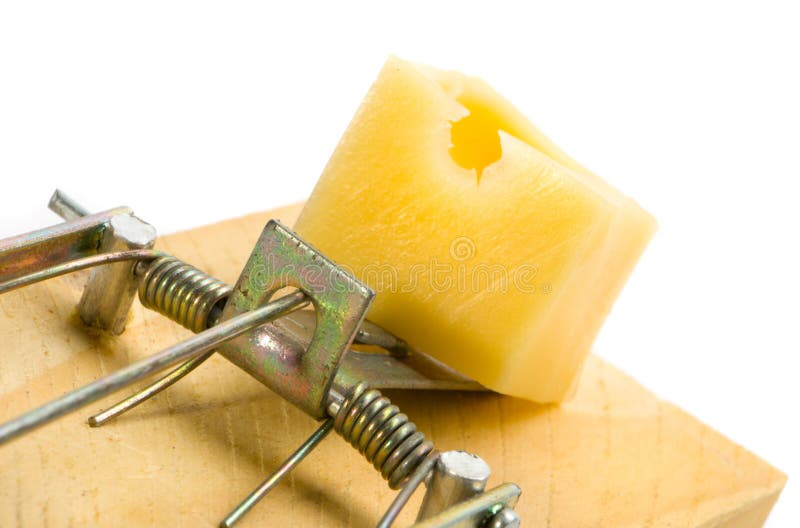Mouse trap stock image. Image of mousetrap, lure, temptation - 1874723