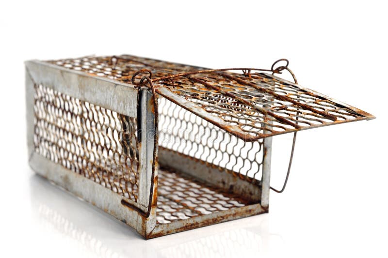 Mouse trap stock photo. Image of beware, control, metal - 20988690
