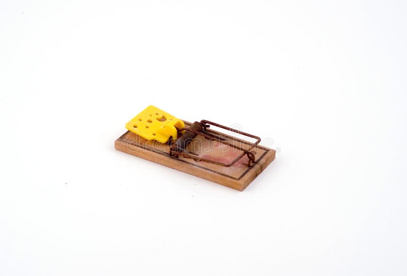 Mouse trap stock image. Image of poison, clean, yard, dangerous - 305565