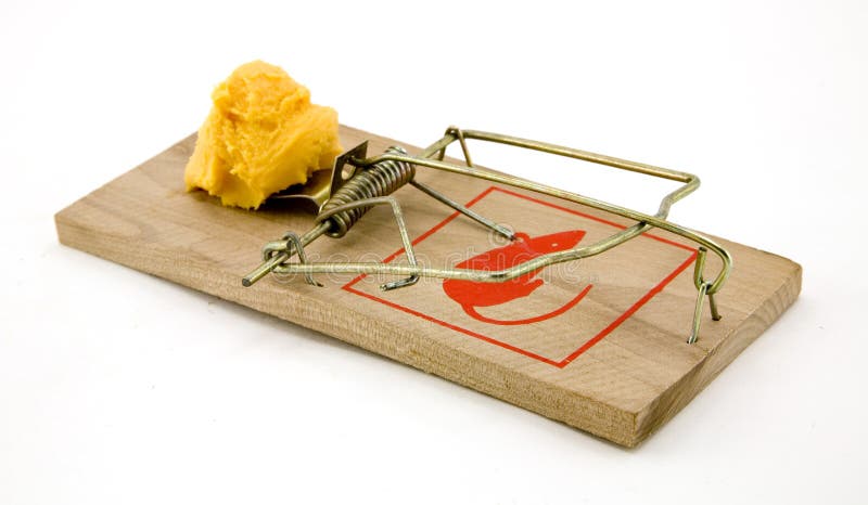Mouse Trap stock image. Image of isolated, white, catch - 511667