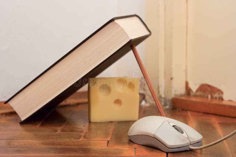 Mouse trap stock photo. Image of computer, floor, home - 761144