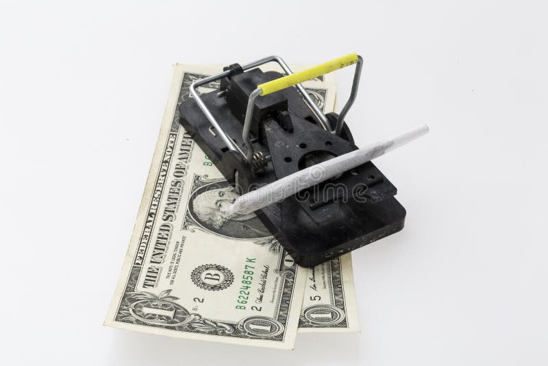 Mouse Trap Money Drug Stock Photos - Free & Royalty-Free Stock Photos ... Mouse Trap Money Drug Stock Photos - Free & Royalty-Free Stock Photos ...