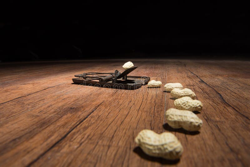 Mouse trap stock photo. Image of open, iron, black, entrapment - 64054696