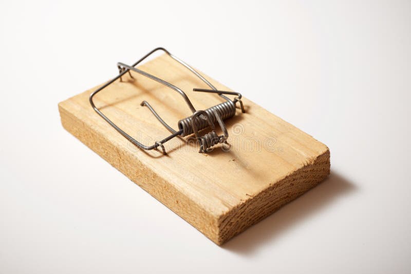 Mouse trap view stock photo. Image of danger, eradication - 149595596